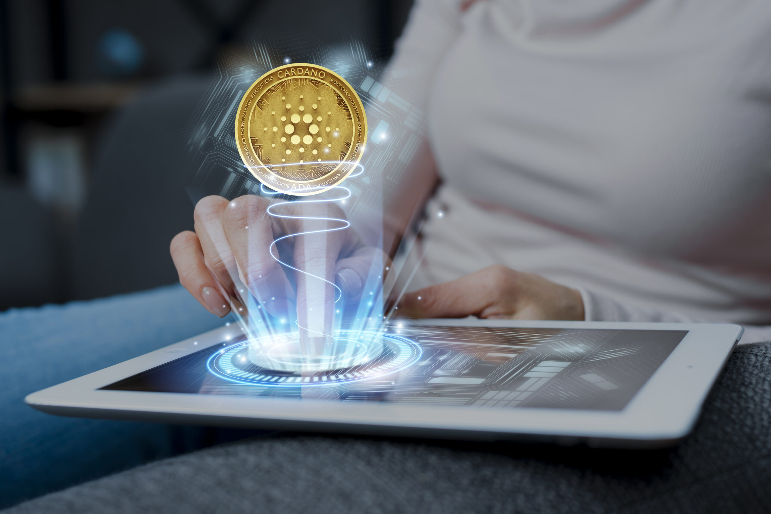 Navigating the Cryptoverse: Your Guide to Choosing the Right ...